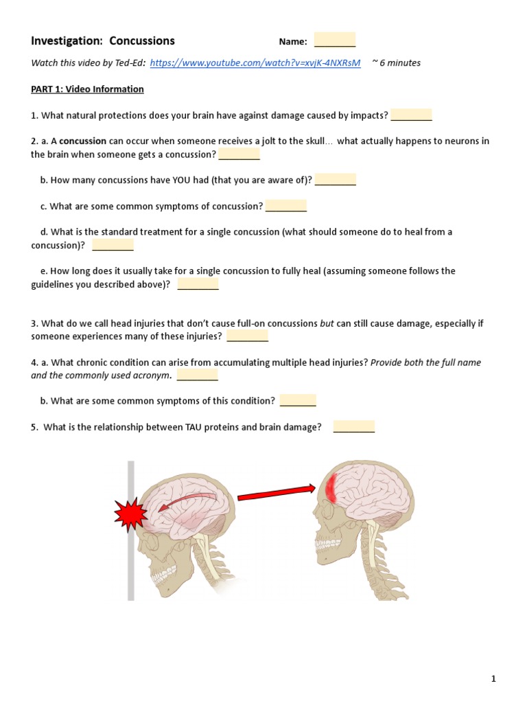 Understanding Concussions and CTE | PDF | Chronic Traumatic ...