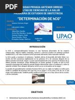 Spinreact Prueba de Embarazo | PDF | Gonadotropina coriónica humana ...