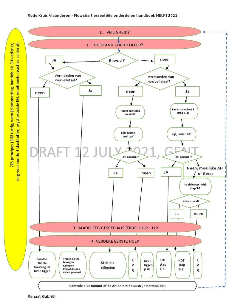 Flowchart EHBO 12 Juli 2021 | PDF