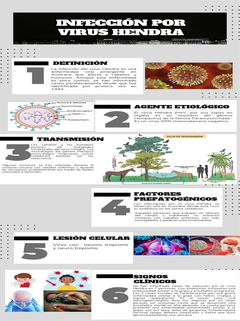 Infección Por Virus Hendra | PDF | Virus | Influenza