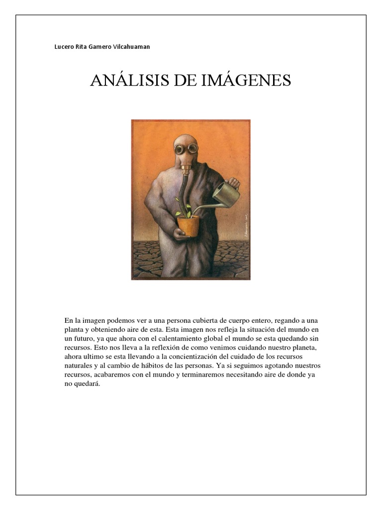 ANÁLISIS DE IMÁGENES | PDF