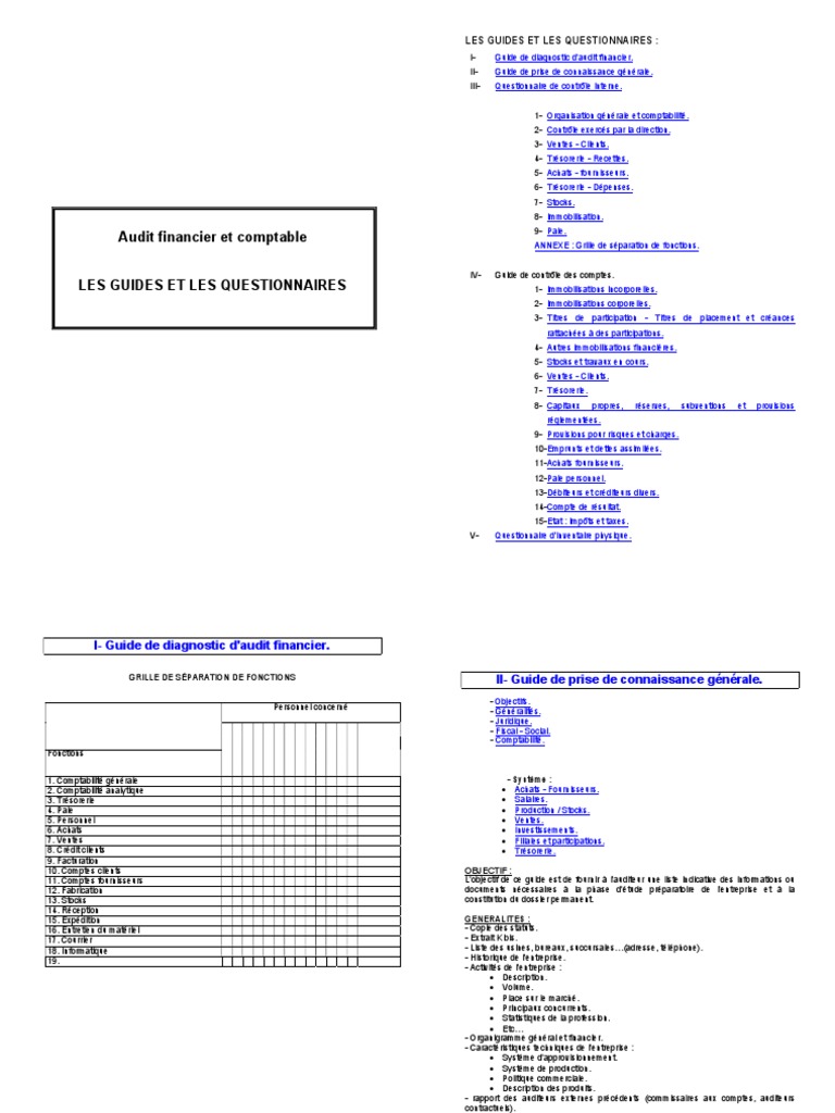 Guide Et Questionnaires Audit Financier | PDF | Comptabilité | Business