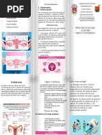 Triptico CA de Utero | PDF | Cáncer de cuello uterino | Cáncer