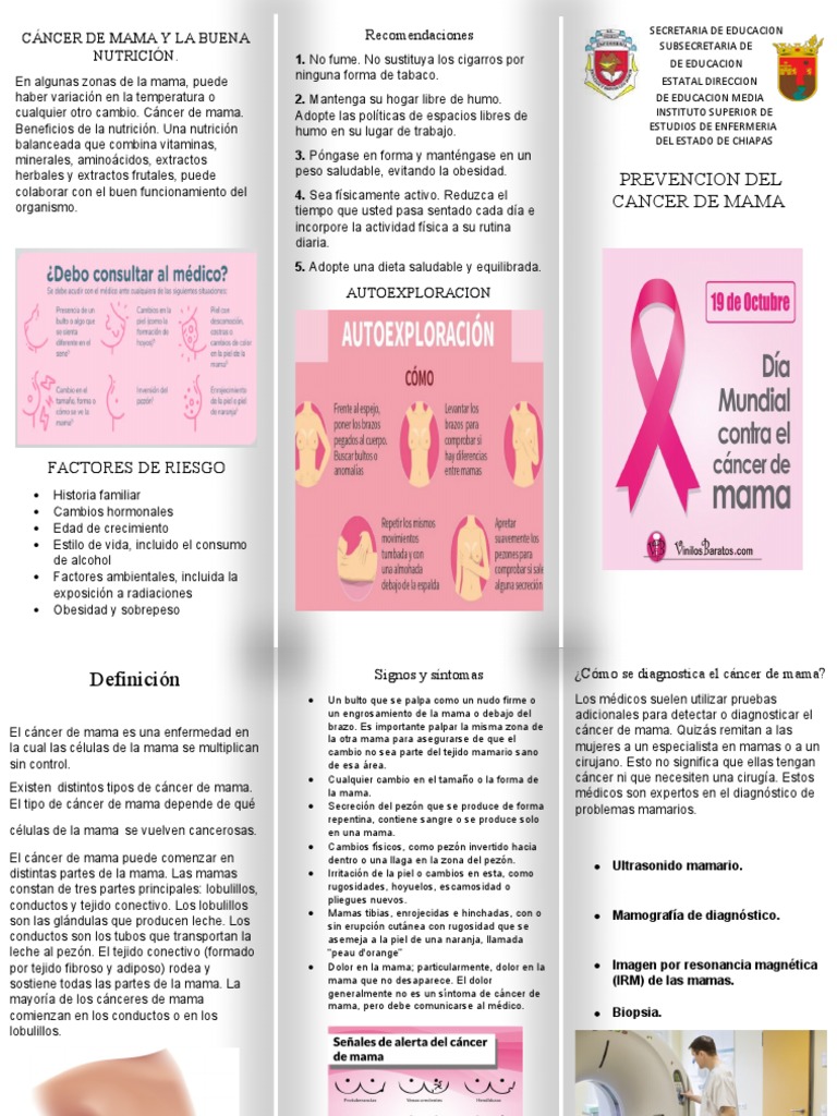 Triptico Cancer de Mama | PDF | Cáncer de mama | Pecho