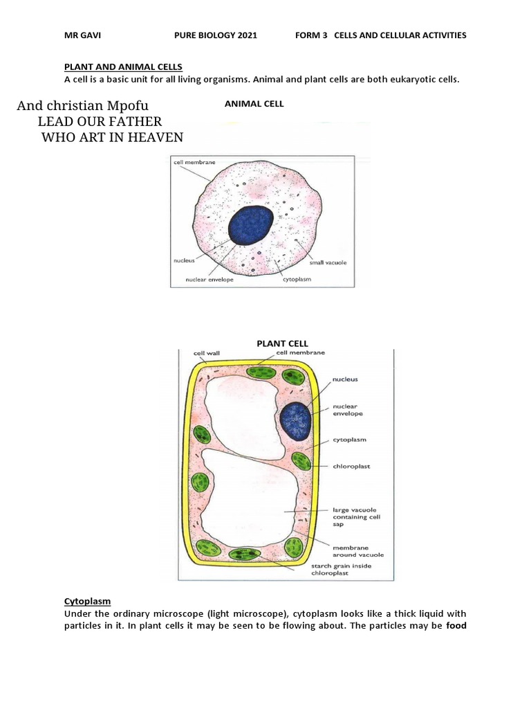Cells and Celluar Activities Pure Bio F3 2021 | PDF | Osmosis | Cell (Biology)