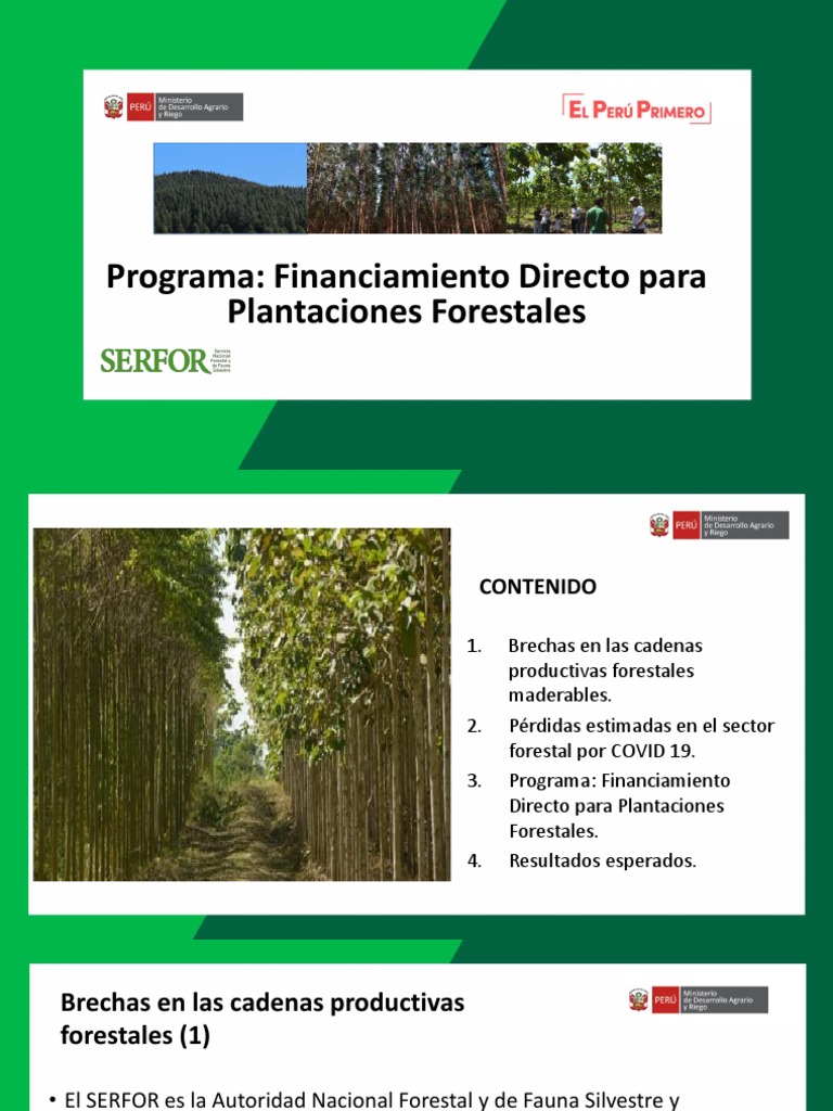 Programa de Financiamiento Directo para Plantaciones Forestales PDF | PDF | Seguro