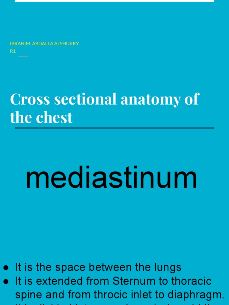 Cross Sectional Anatomy of the Mediastinum | PDF | Aorta | Thorax