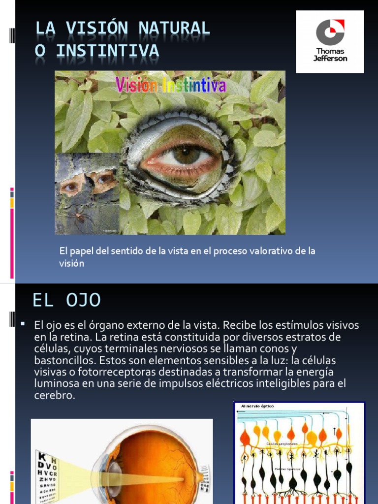 La Visión Natural o Instintiva | PDF | Percepción visual | Retina
