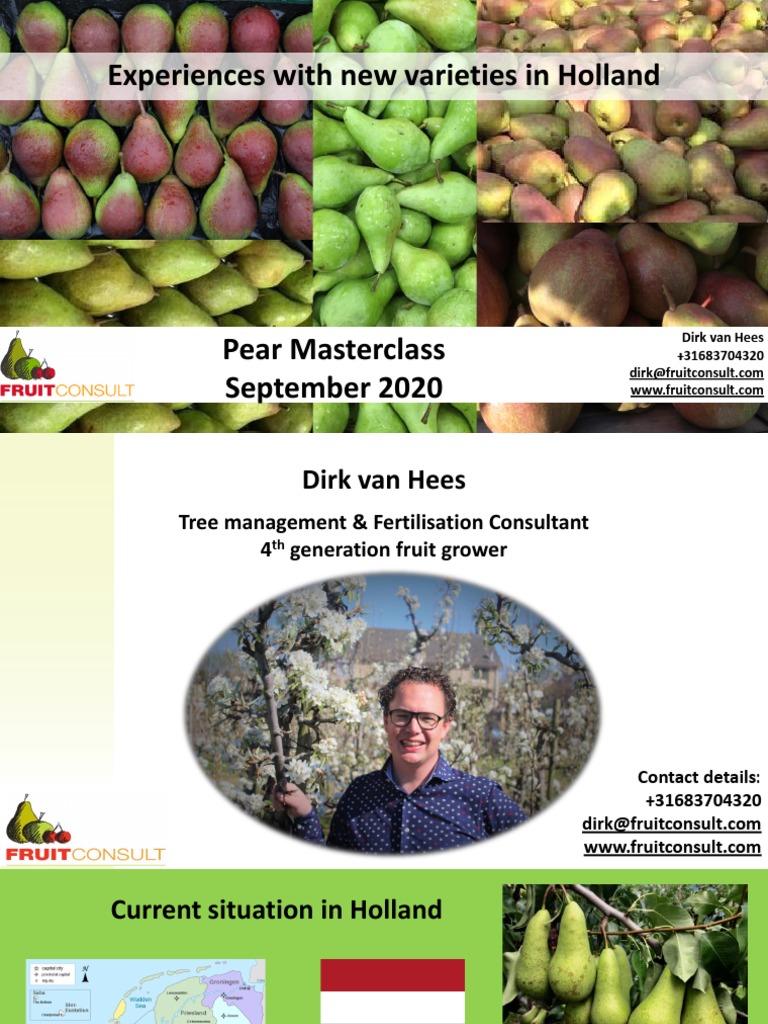Pear Masterclass New Varieties | PDF | Pear | Botany
