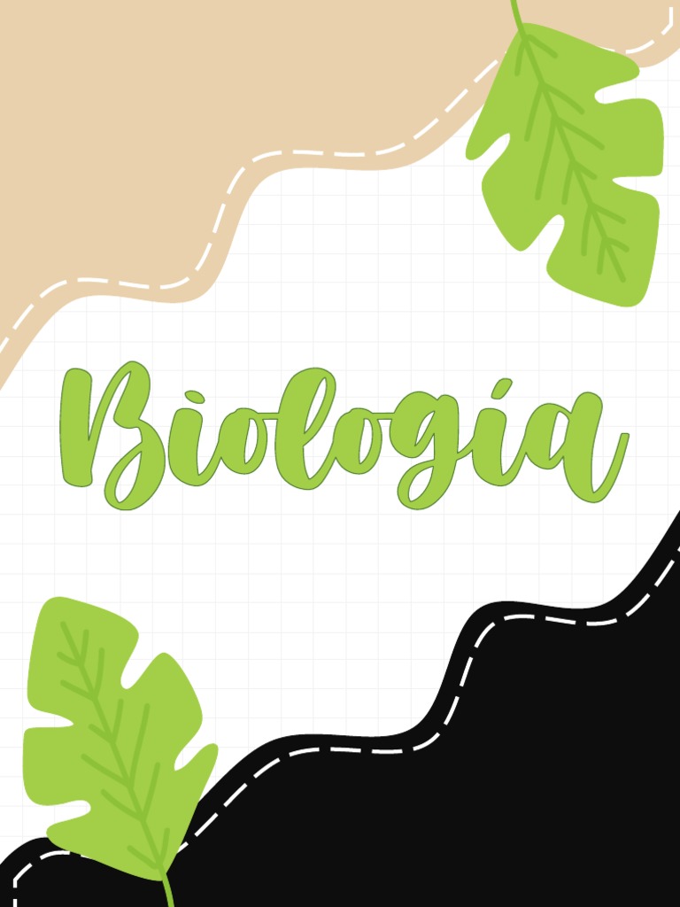 Portadas Simples | PDF