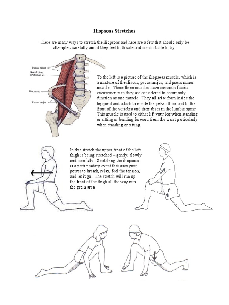 Iliopsoas Stretches | PDF | Human Anatomy | Musculoskeletal System