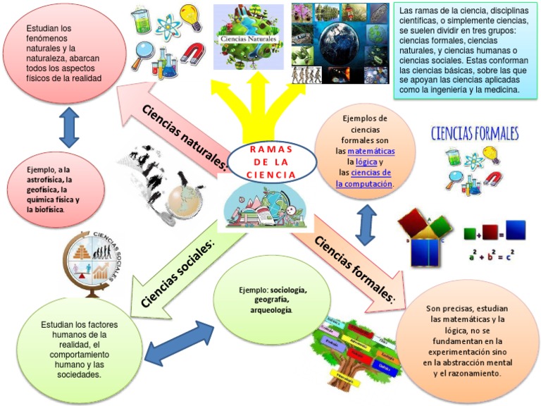 Ramas de la Ciencia: Clasificación y Ejemplos | PDF | Ciencias sociales