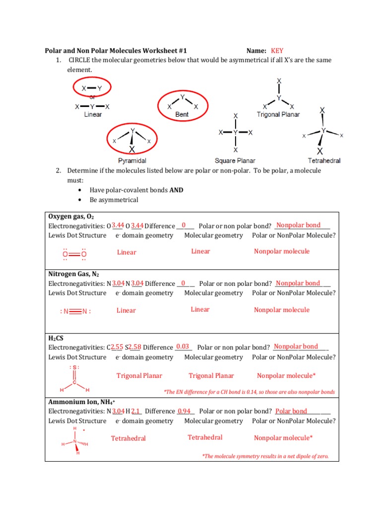 Polar and Non Polar Molecules Worksheet 1 KEY | PDF | Chemical Polarity ...