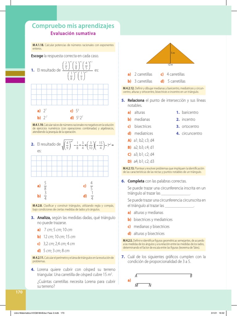 Taller de 8vo Matematicas 170-171 | PDF | Triángulo | Geometría triangular