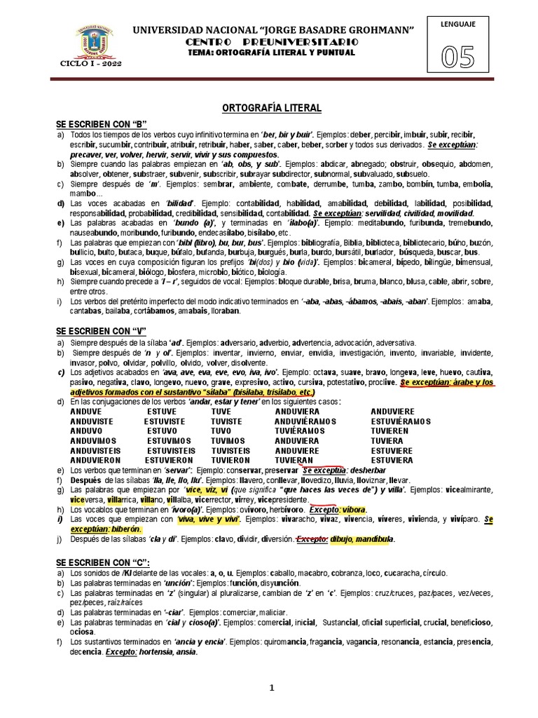 Práct. 05 - Lenguaje | PDF | Coma | Oración (Lingüística)