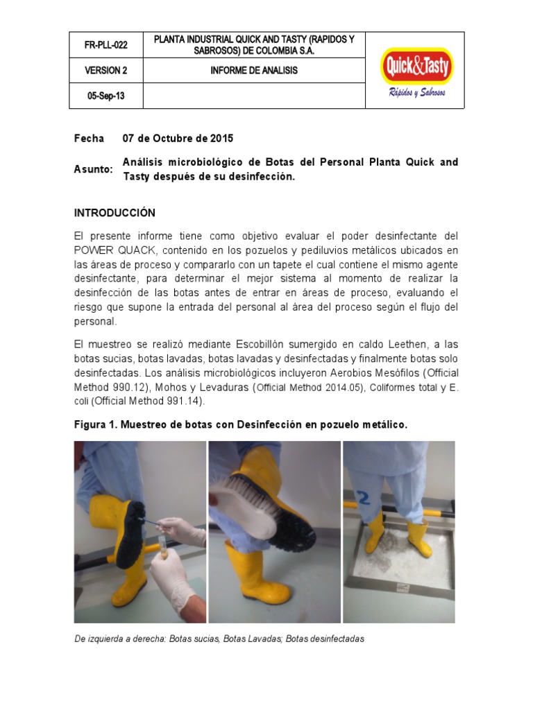 ejemplo Informe Validacion de Botas | PDF | Química | Organismos
