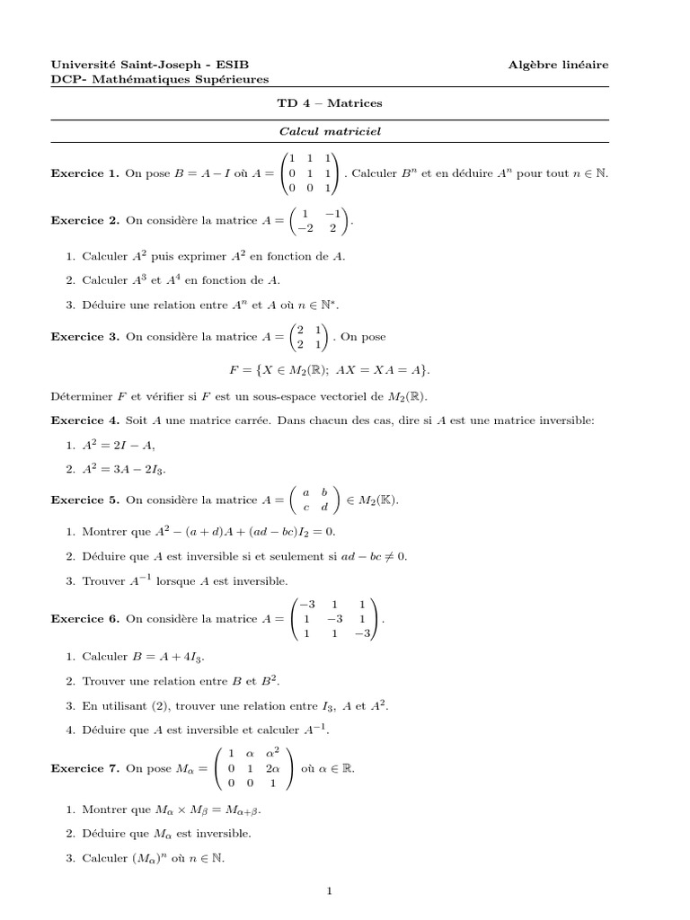 TD Matrices | PDF | Matrice (Mathématiques) | Base (algèbre linéaire)