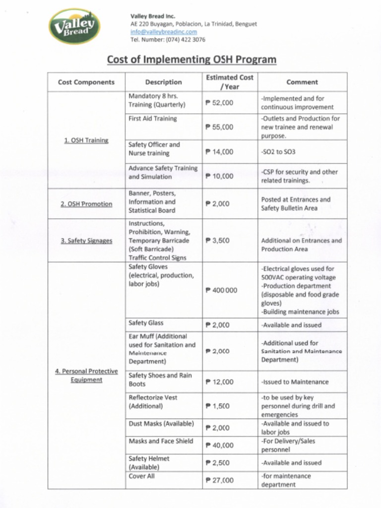 Cost of Implementing OSH Program | PDF