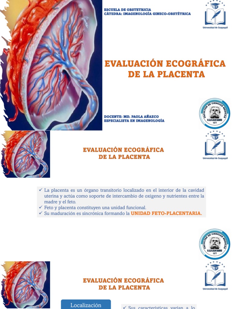 Evaluación Ecográfica de La Placenta | PDF | Placenta | El embarazo