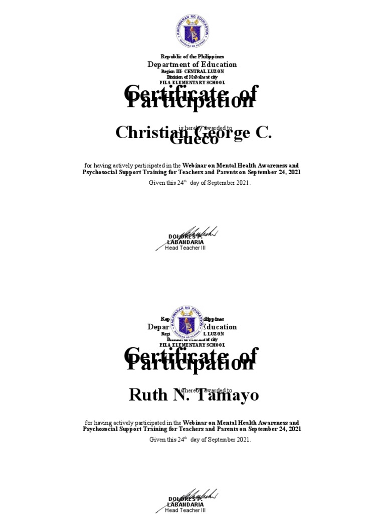 Certificate Mental Health | PDF | Administrative Law | Government