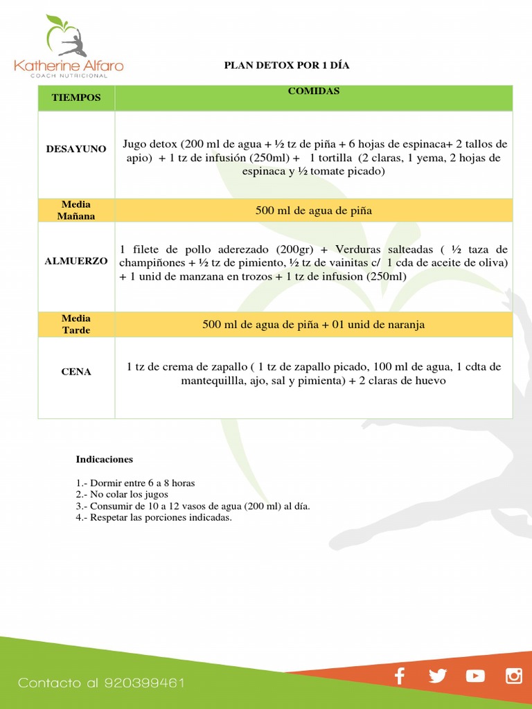 Plan Detox de 1 Día: Comidas y Bebidas | PDF