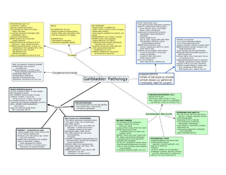 Mind Map-Cholangitis Akut | PDF