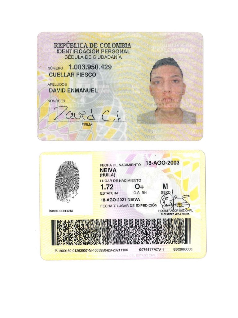 Cedula David Cuellar | PDF