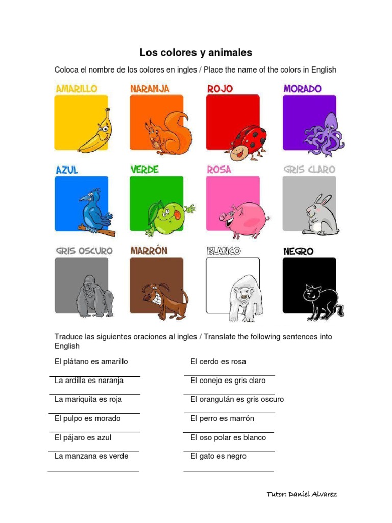 6 - Los Colores y Animales | PDF