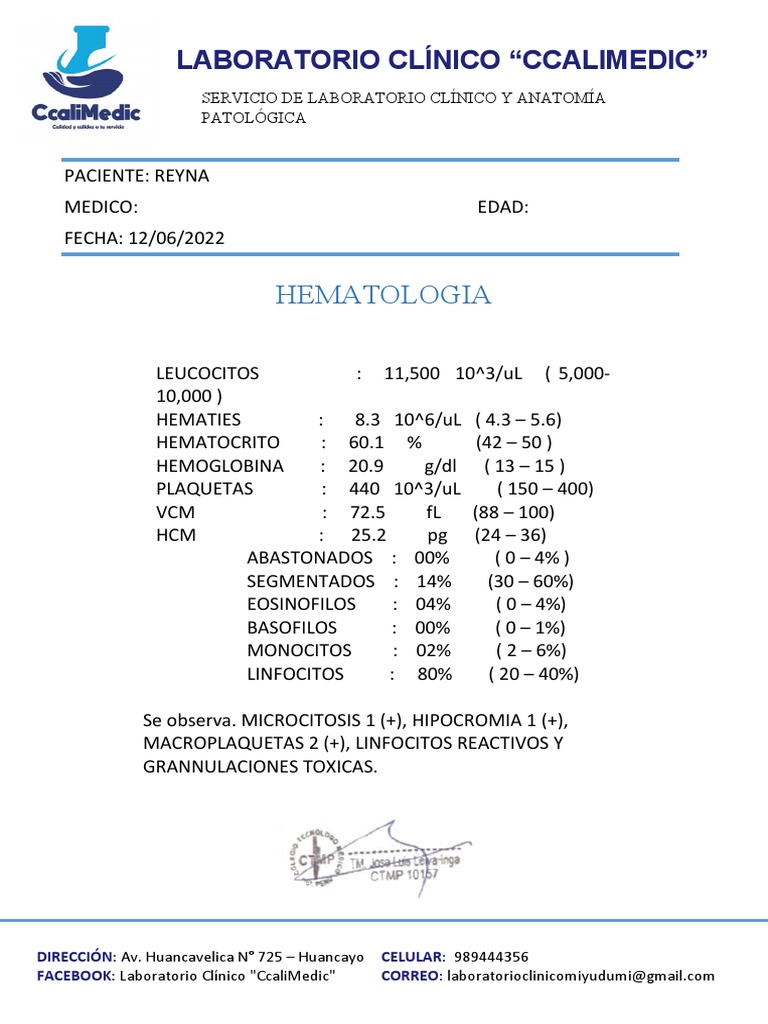 Hemograma Manual | PDF