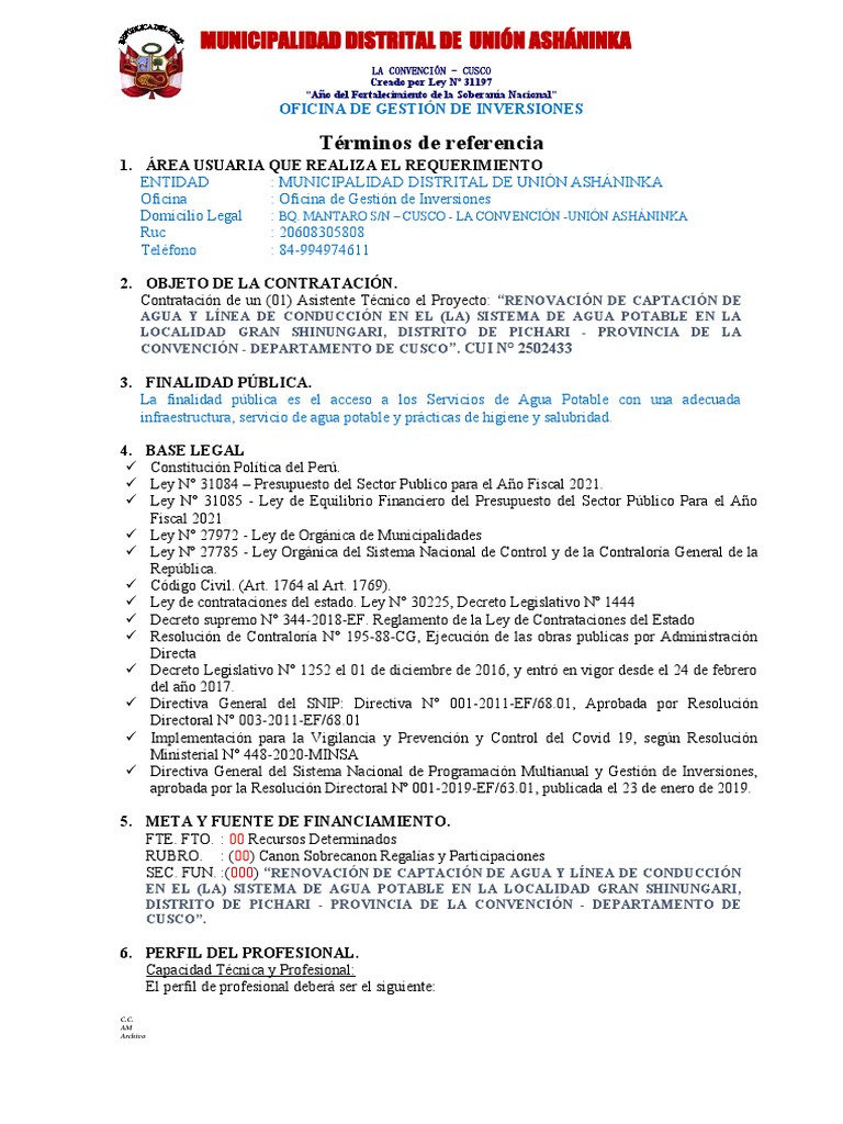 TDR Asistente 2022 | PDF