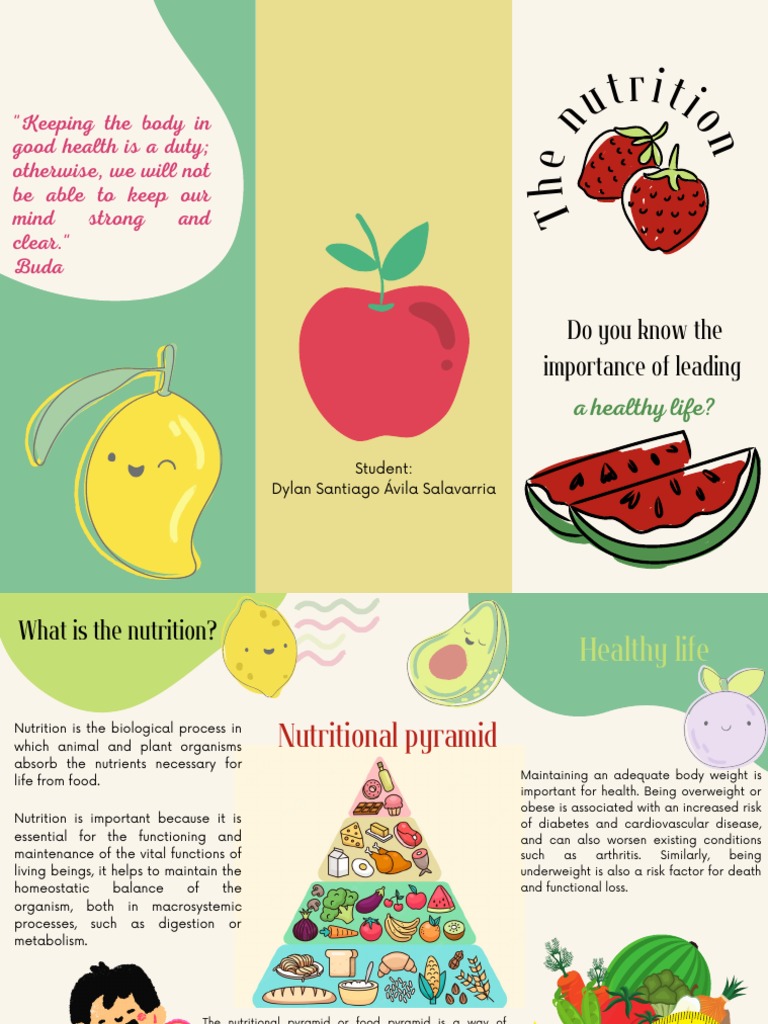 Triptico Nutrición Ingles | PDF | Nutrition | Diet & Nutrition