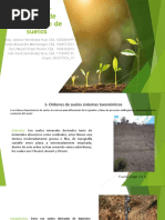 Suelos Fluvisoles: Importancia y Uso | PDF | Suelo | Riego