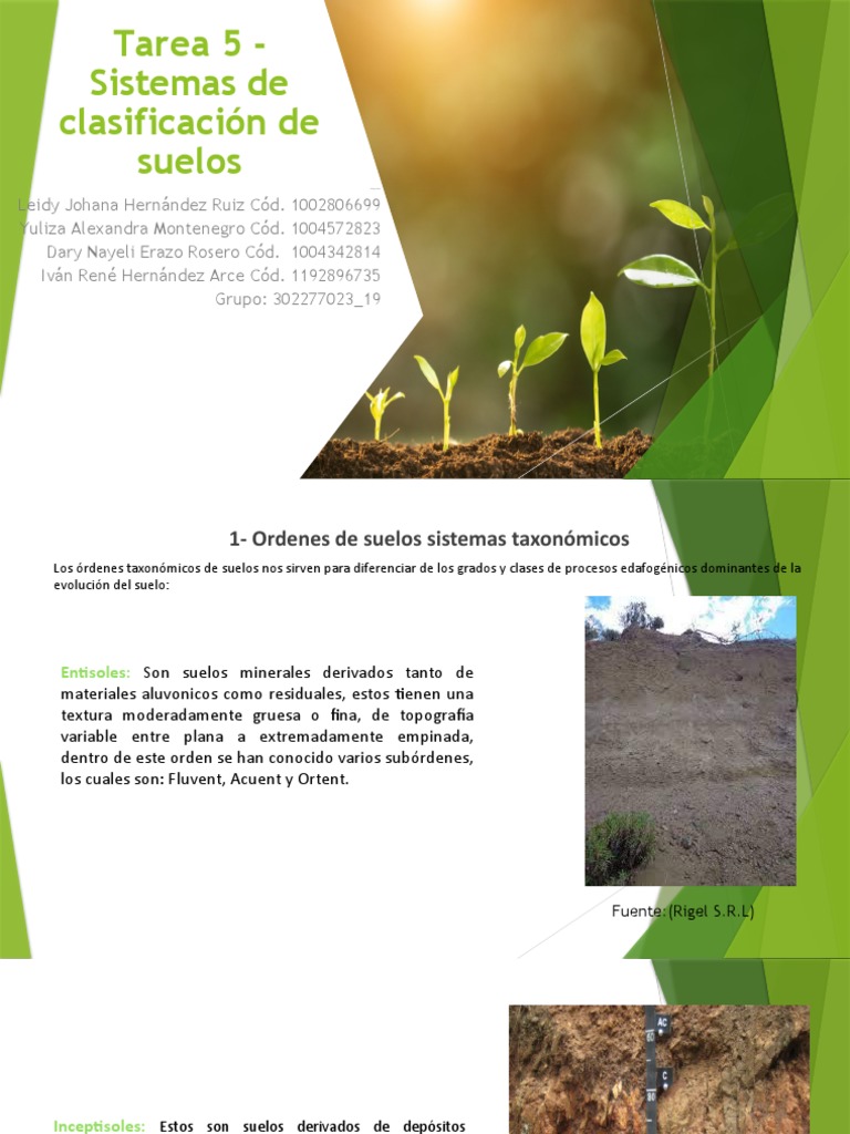 Clasificación y Uso de Suelos | PDF | Suelo | Nutrientes