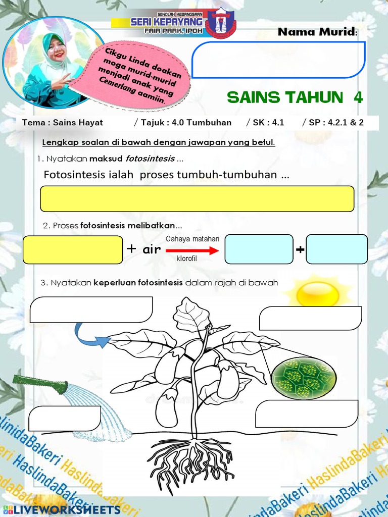Sains Tahun 4: Fotosintesis Ialah Proses Tumbuh-Tumbuhan | PDF