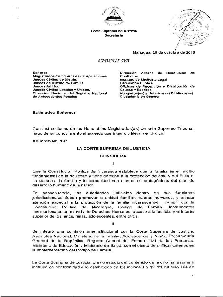 Acuerdo 107 Circular Criterios Do Familia 2015 - 28 | PDF | Divorcio | Familia