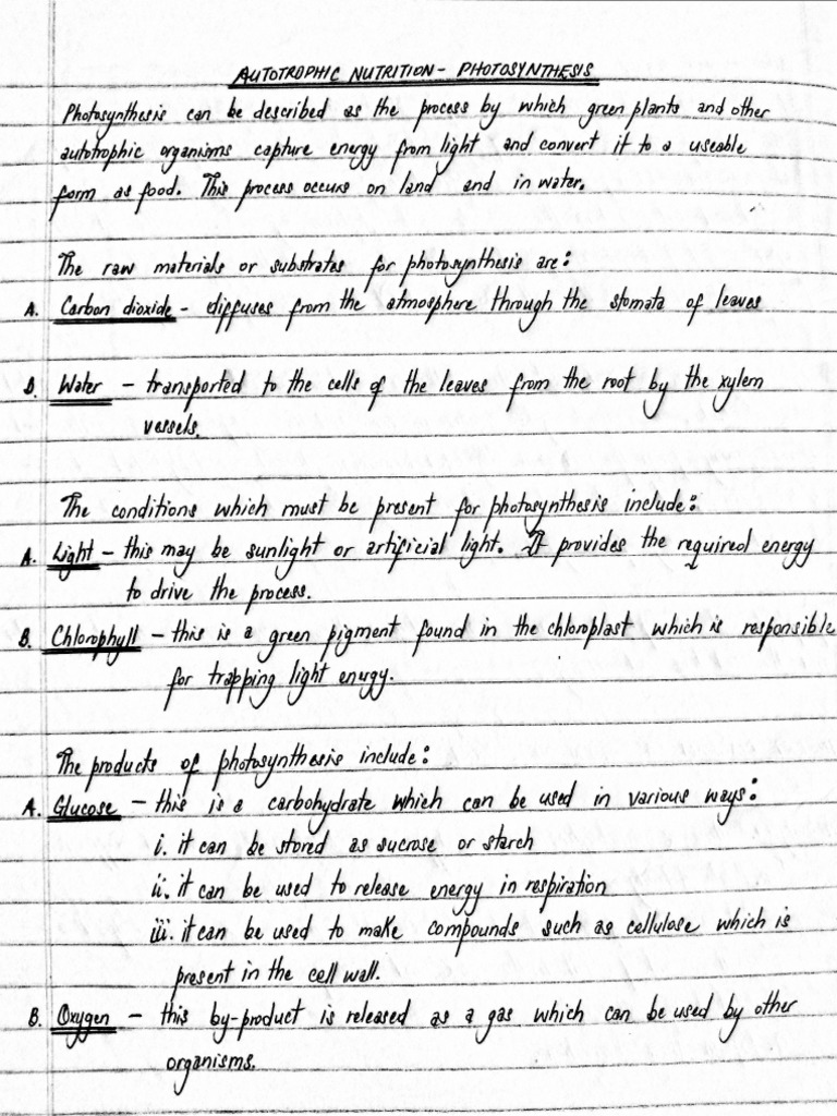 Photosynthesis Note | PDF