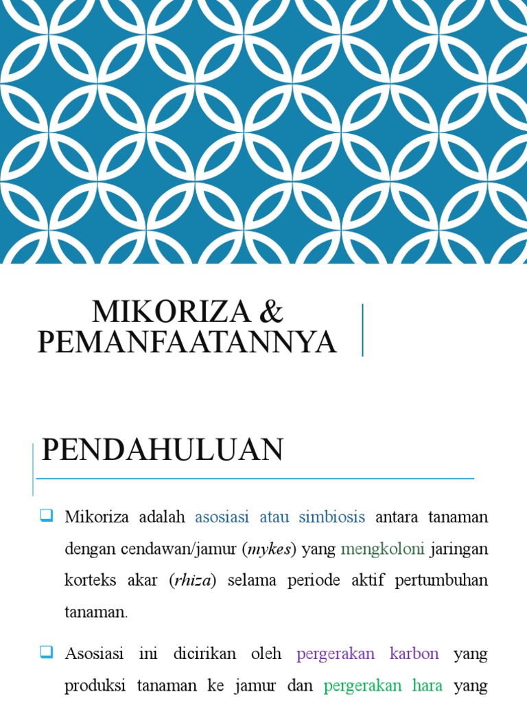 Manfaat dan Tipe Mikoriza untuk Tanaman | PDF
