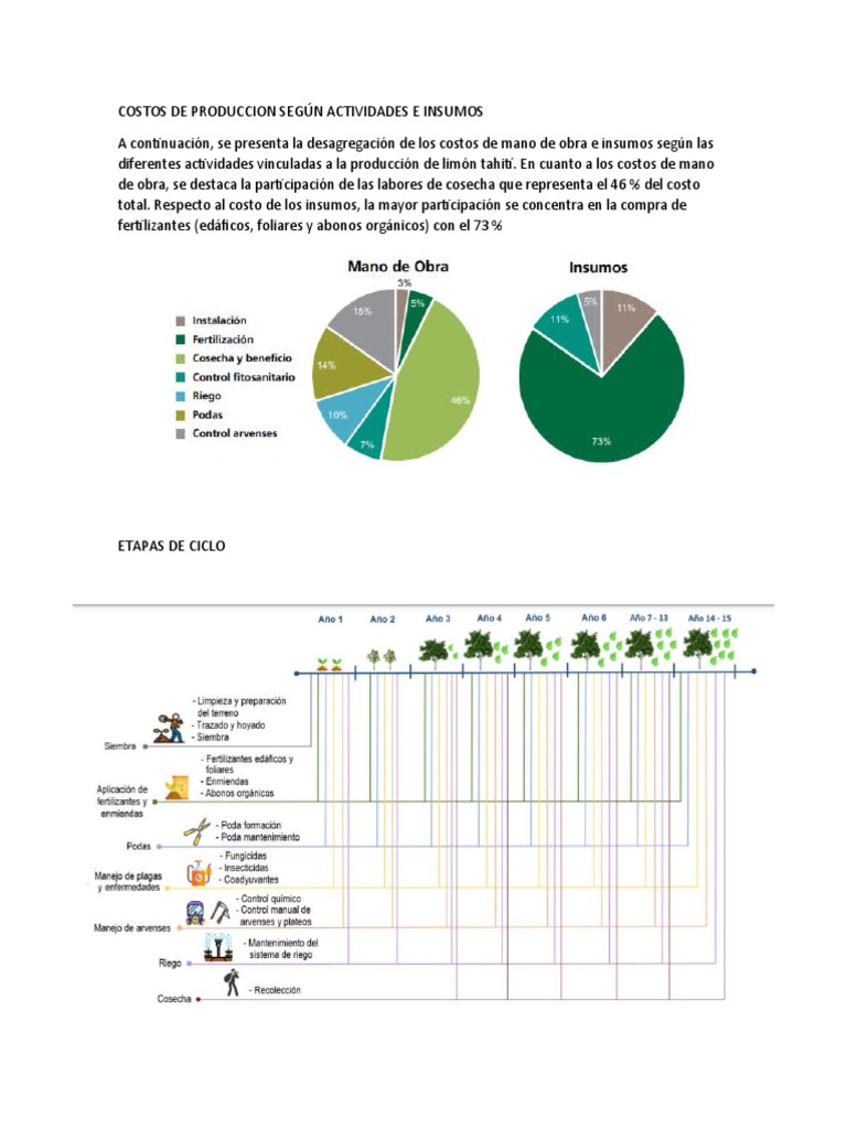 Costos de Produccion | PDF