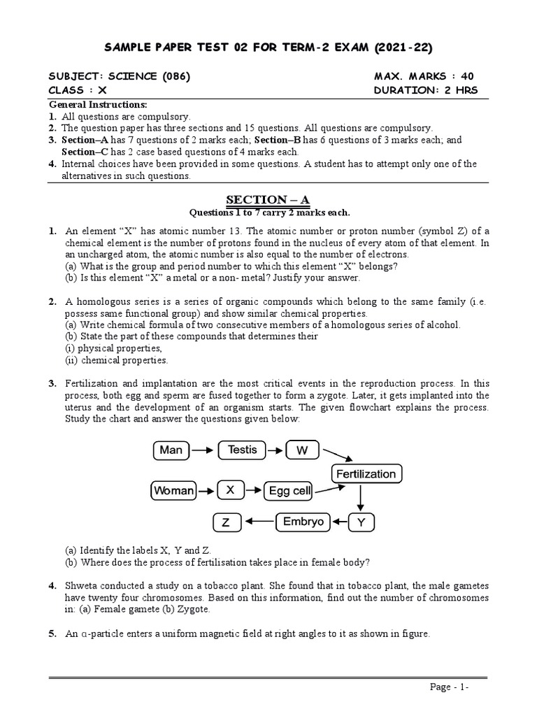 Science Class 10 Term 2 Sample Paper 2 | PDF | Valence (Chemistry) | Chemical Elements