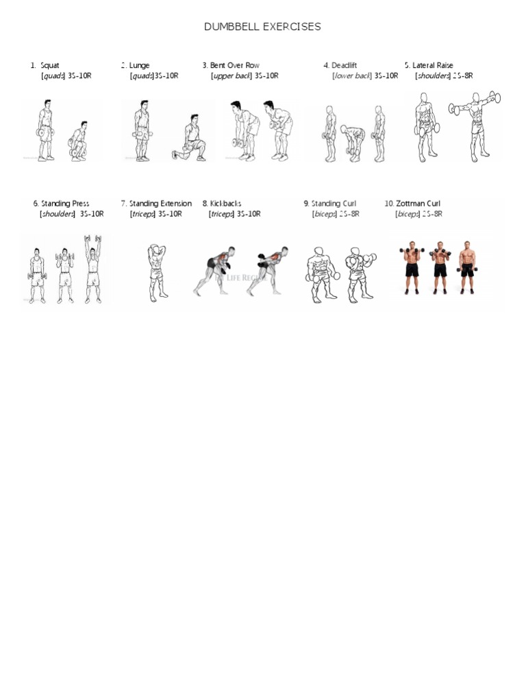 Dumbbell Exercises | PDF