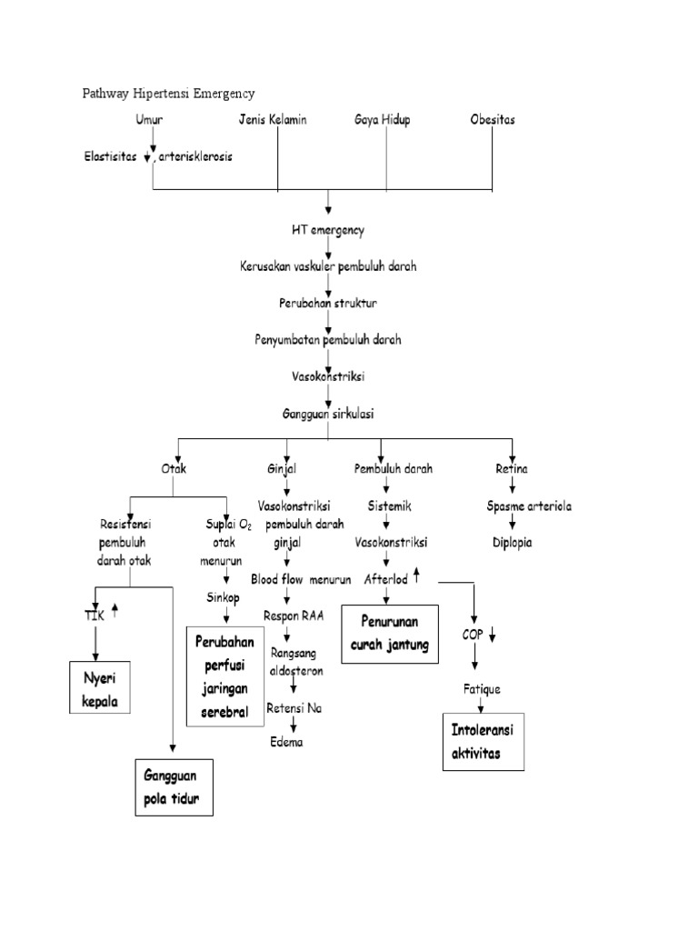 Pathway Hipertensi Emergency | PDF