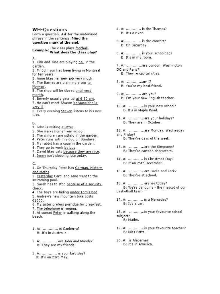 WH Questions Exercises | PDF