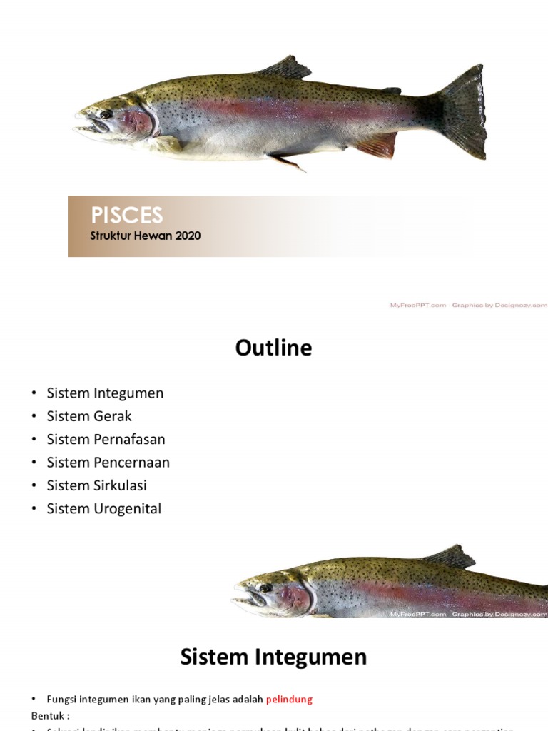 Pisces | PDF