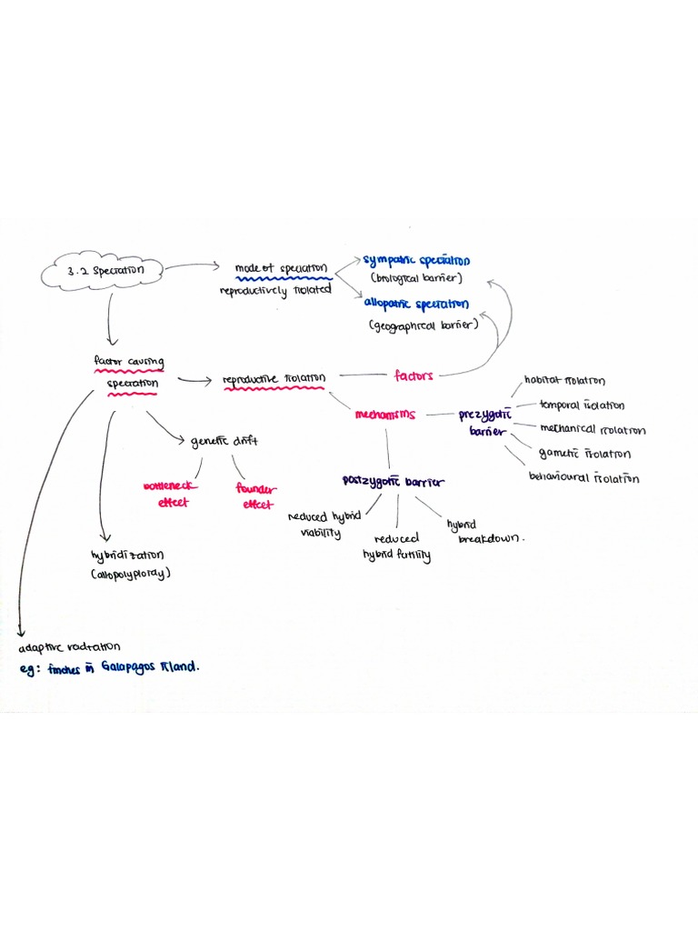 Speciation Mindmap | PDF