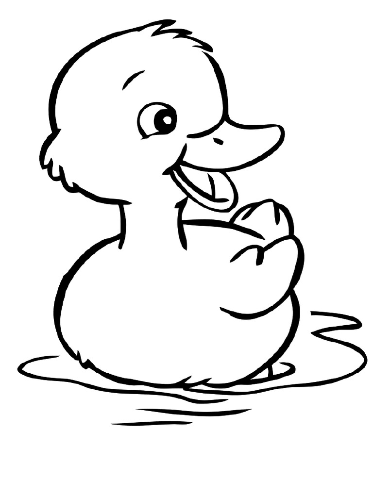 DUCK | PDF