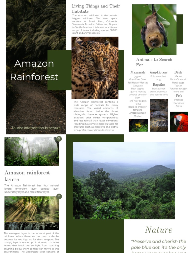 Green Plant Nature Business Brochure | PDF | Rainforest | Amazon Rainforest