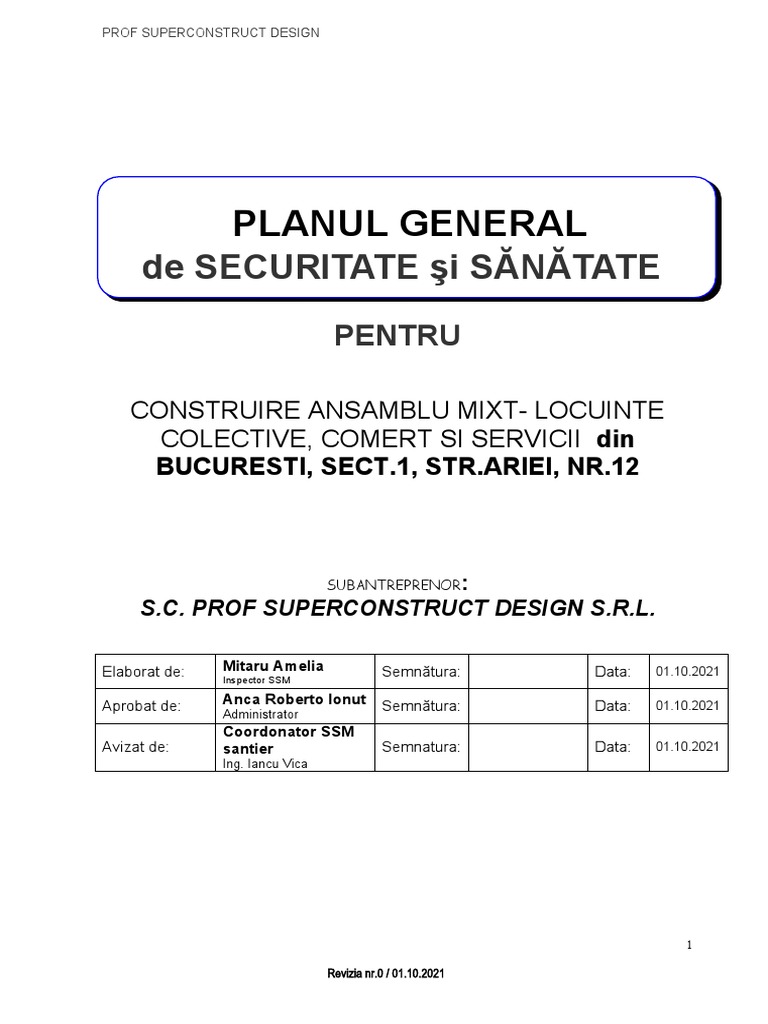 Plan SSM | PDF