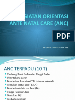 HKI Leaflet ANC Terpadu - 2023 | PDF