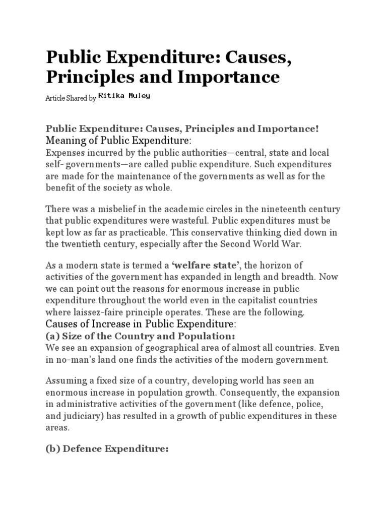 Public Expenditure Insights | PDF | Finance & Money Management | Social ...