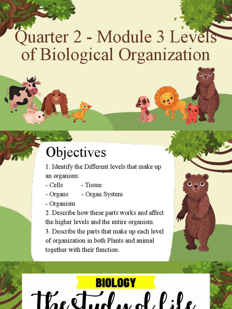 Q2 - Science Module 3&4 | PDF